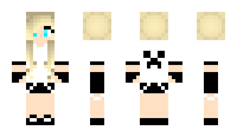 Skins for Minecraft