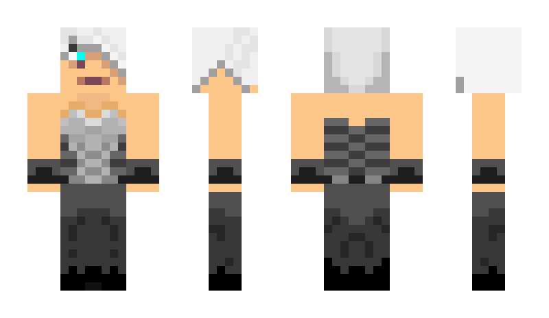 Skins for Minecraft