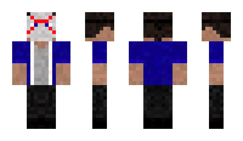 Skins for Minecraft