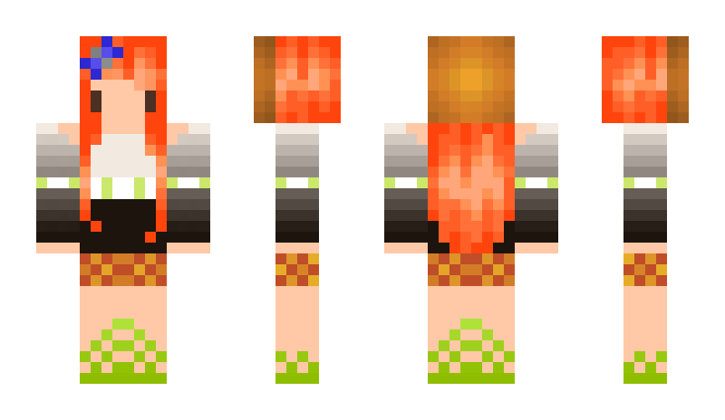 Skins for Minecraft