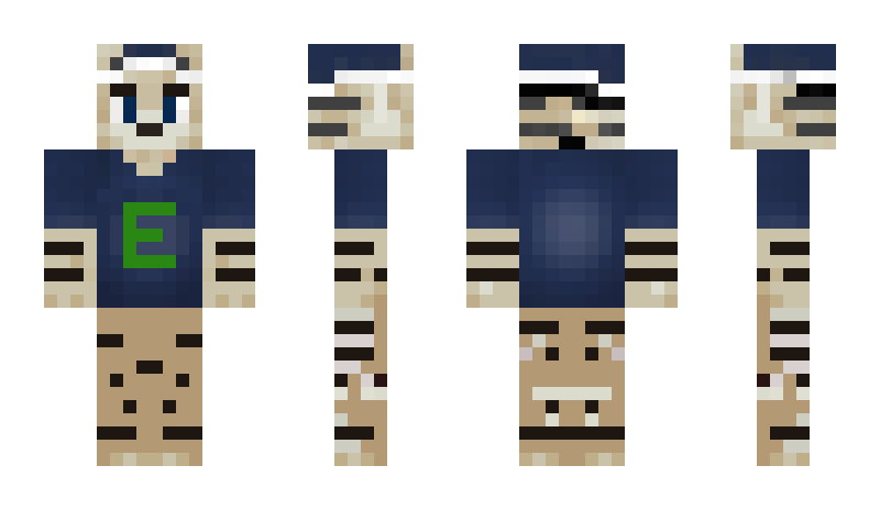 Skins for Minecraft