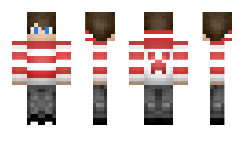 Skins for Minecraft