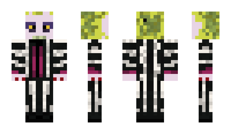 Skins for Minecraft