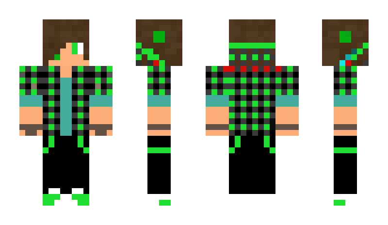 Skins for Minecraft