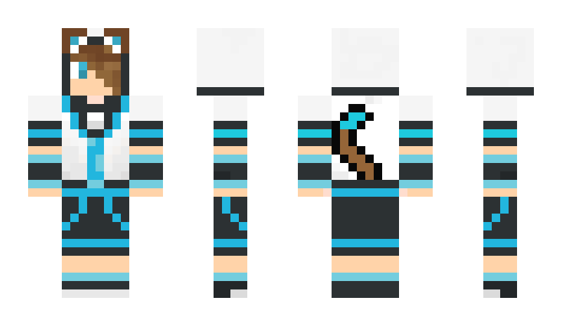 Skins for Minecraft
